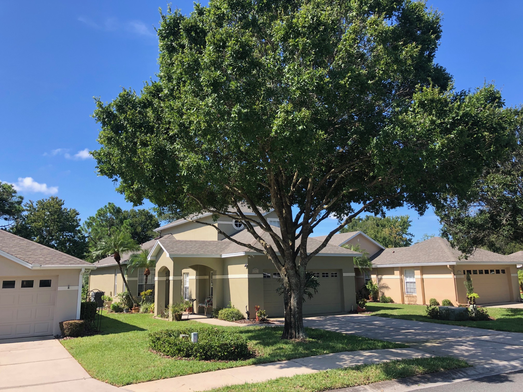 Gallery - Precision Tree and Outdoor Services